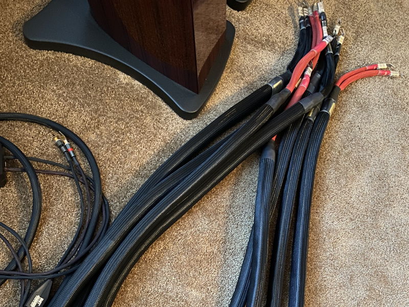 Elrod Power Systems Statement Gold Bi-Wire... For Sale | Audiogon