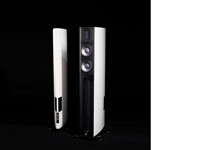 Raidho Acoustics X2t For Sale | Audiogon