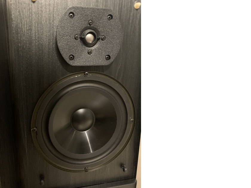 Mirage M-490 For Sale | Audiogon