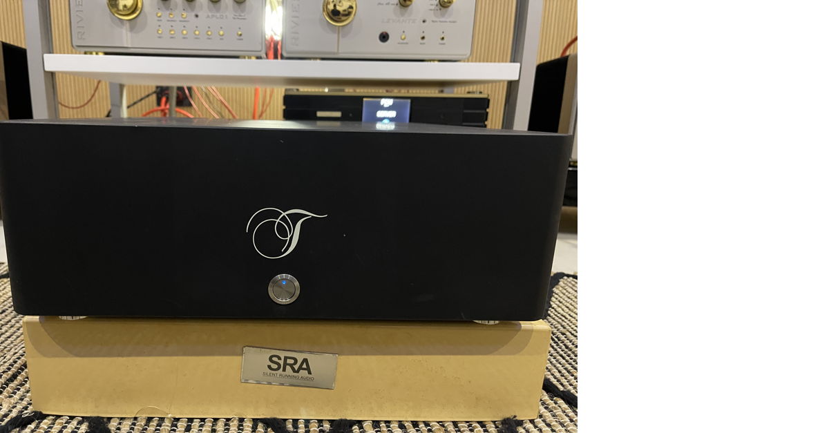 Trinity Reference Amplifier For Sale | Audiogon