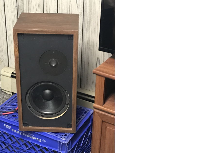 EPI 100/ Human Speakers kit For Sale | Audiogon