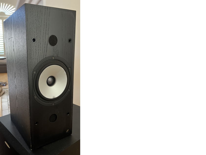 Thiel Audio SCS2 For Sale | Audiogon