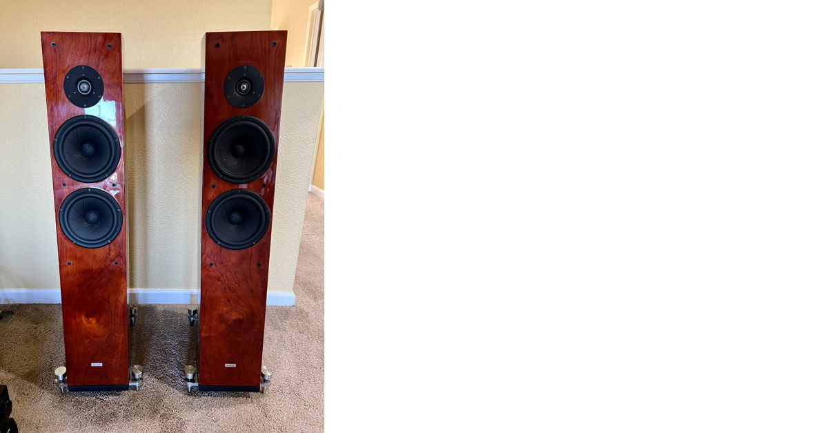 GamuT Audio L-5 Speakers For Sale | Audiogon