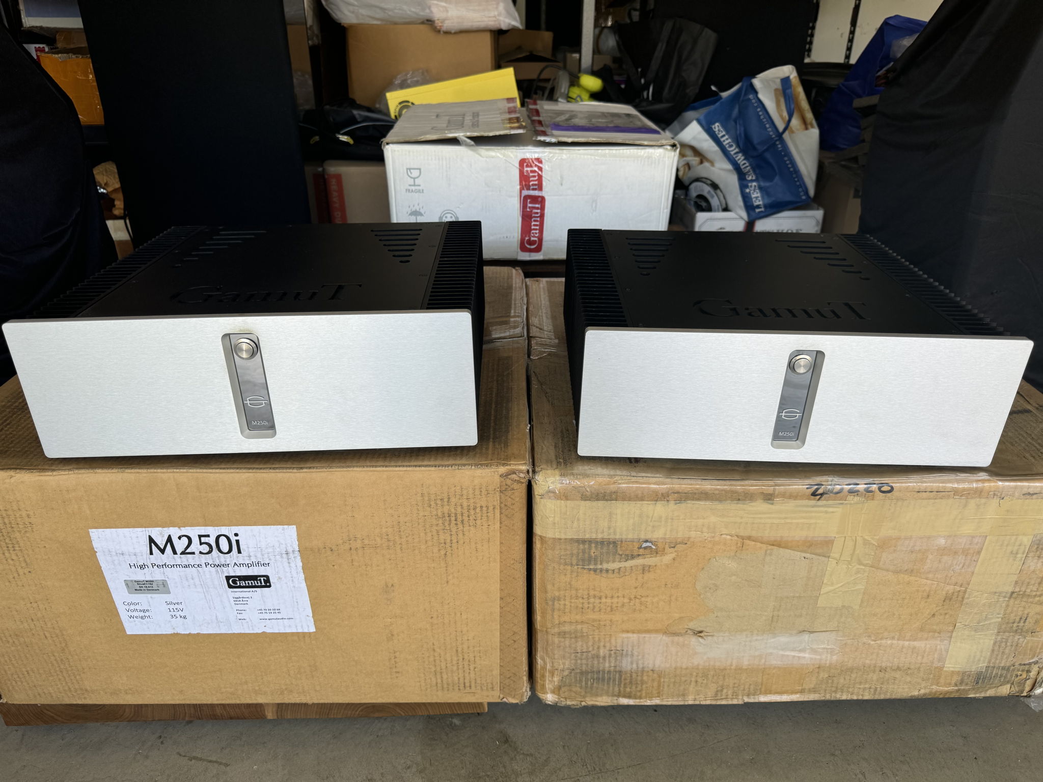 GamuT Audio M250i Monoblock Amplifier For Sale | Audiogon