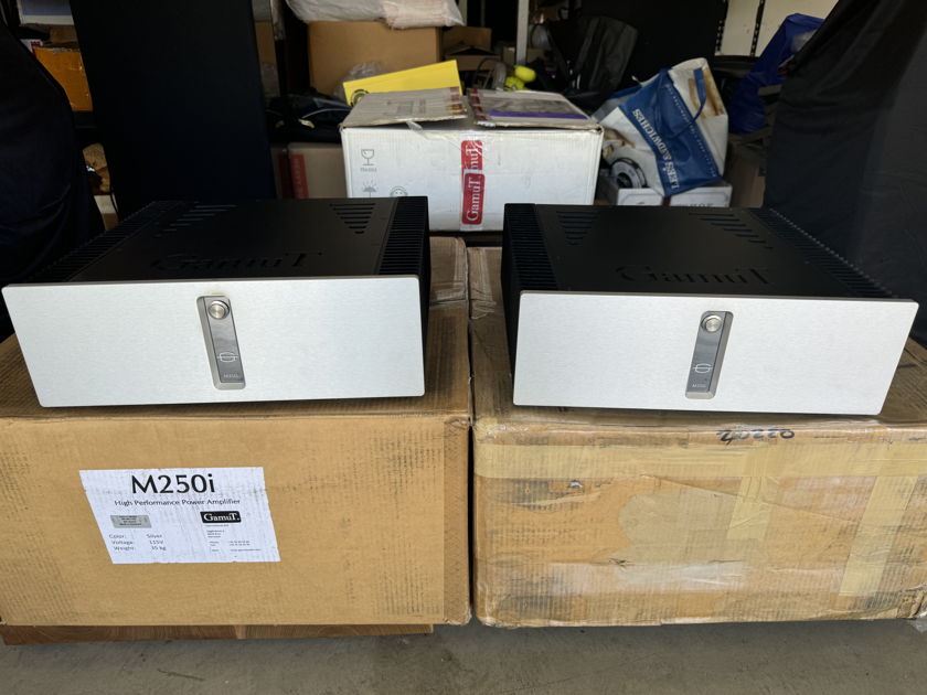 GamuT Audio M250i Monoblock Amplifier For Sale | Audiogon