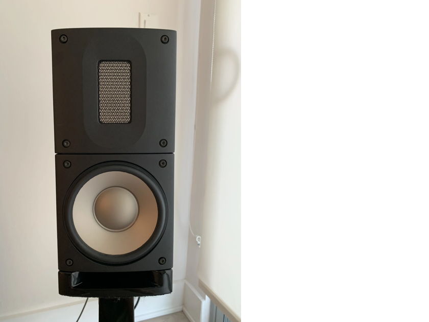 Raidho XT-1 For Sale | Audiogon