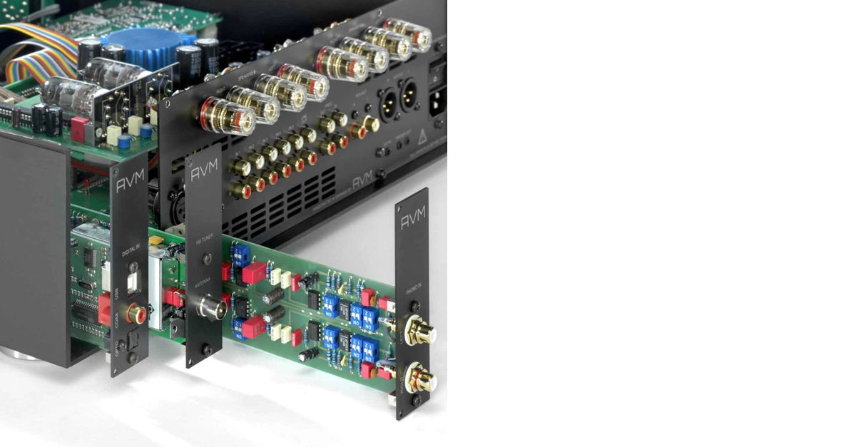AVM Evolution Phono Module; For AVM Evolut... For Sale | Audiogon