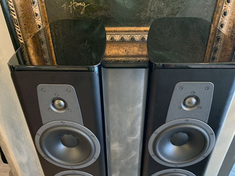 Dynaudio Contour 30 Black Gloss Excellent ... For Sale | Audiogon