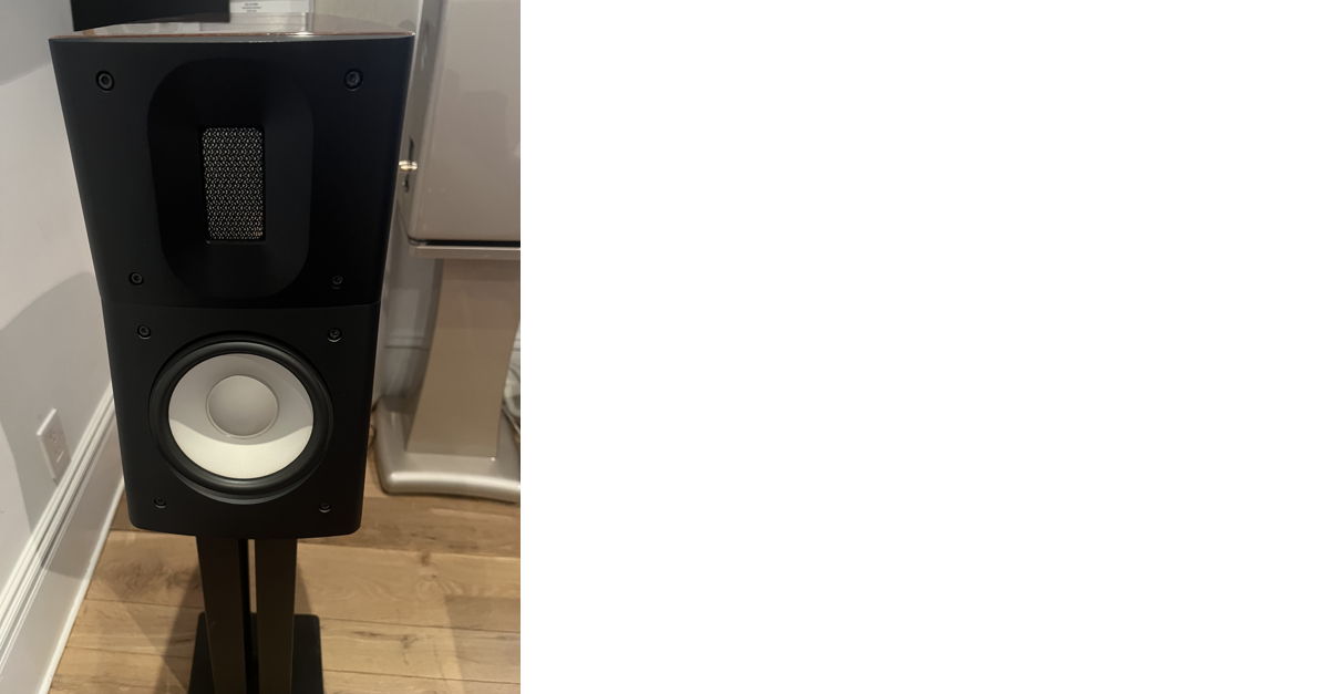 Raidho C1.1 Walnut finish For Sale | Audiogon