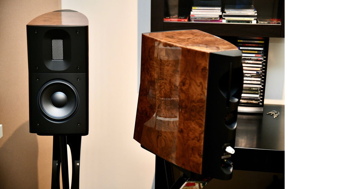 Raidho D1.1 For Sale | Audiogon