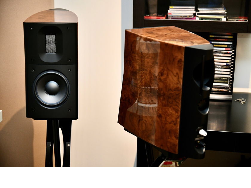 Raidho D1.1 For Sale | Audiogon