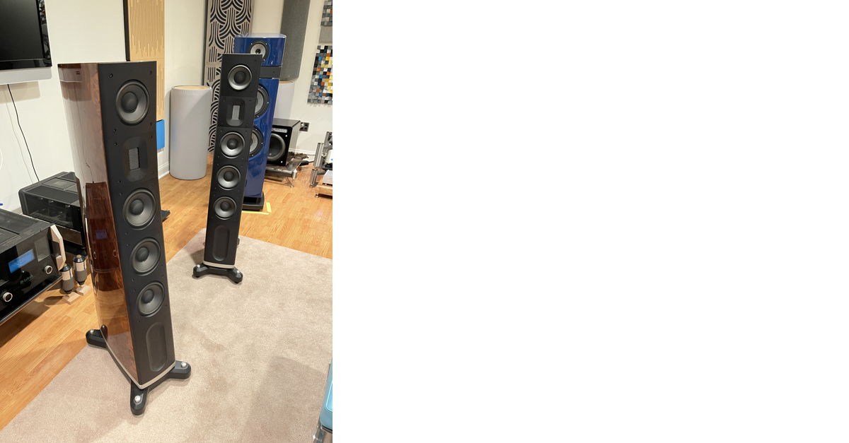 Raidho D3 - Retail $79,000! Amazing Origin... For Sale | Audiogon