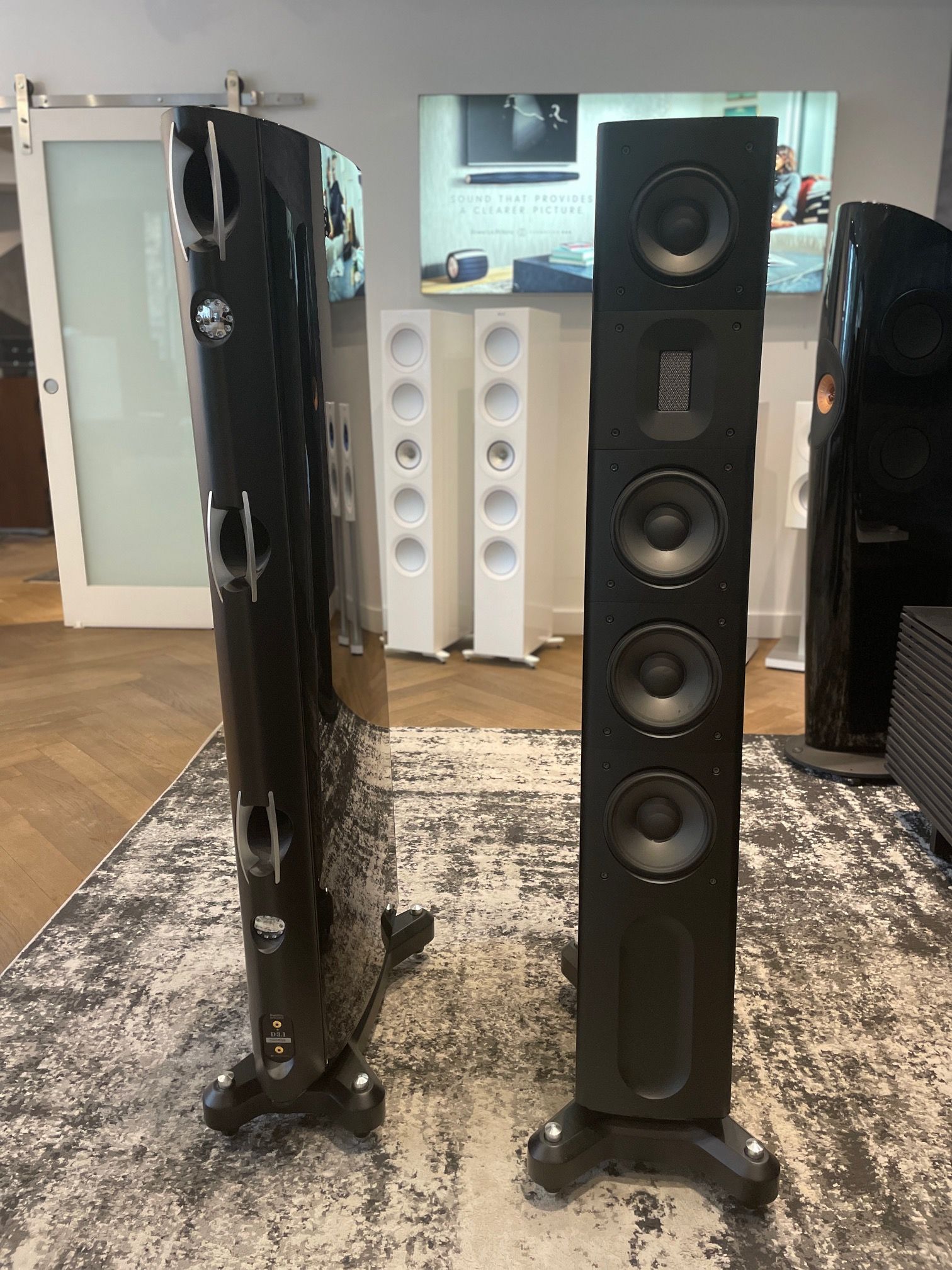 Raidho D3.1 For Sale | Audiogon