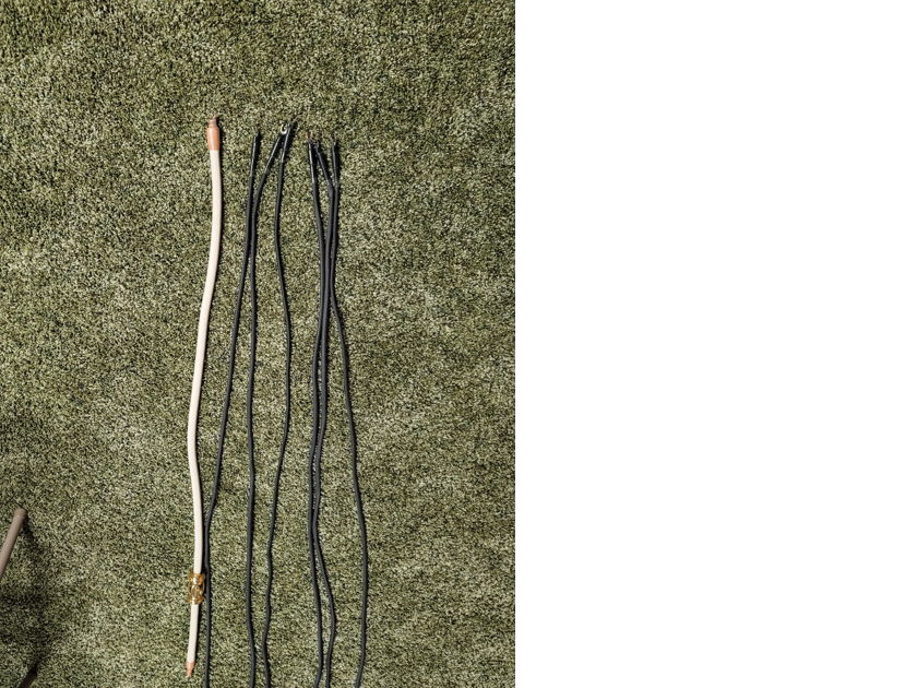 Tripoint Audio Silver Signature SE Prices ... For Sale | Audiogon