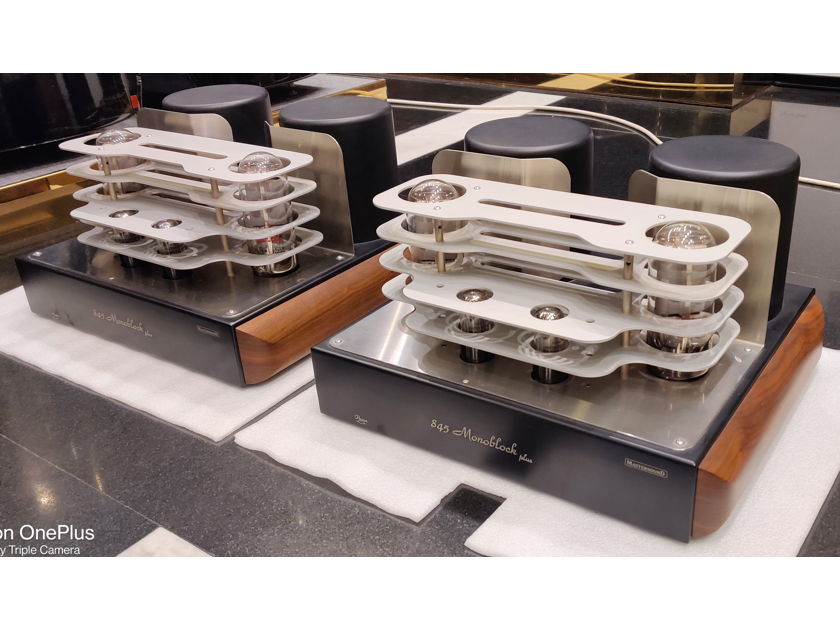 Mastersound 845 Monoblock Plus power ampli... For Sale | Audiogon