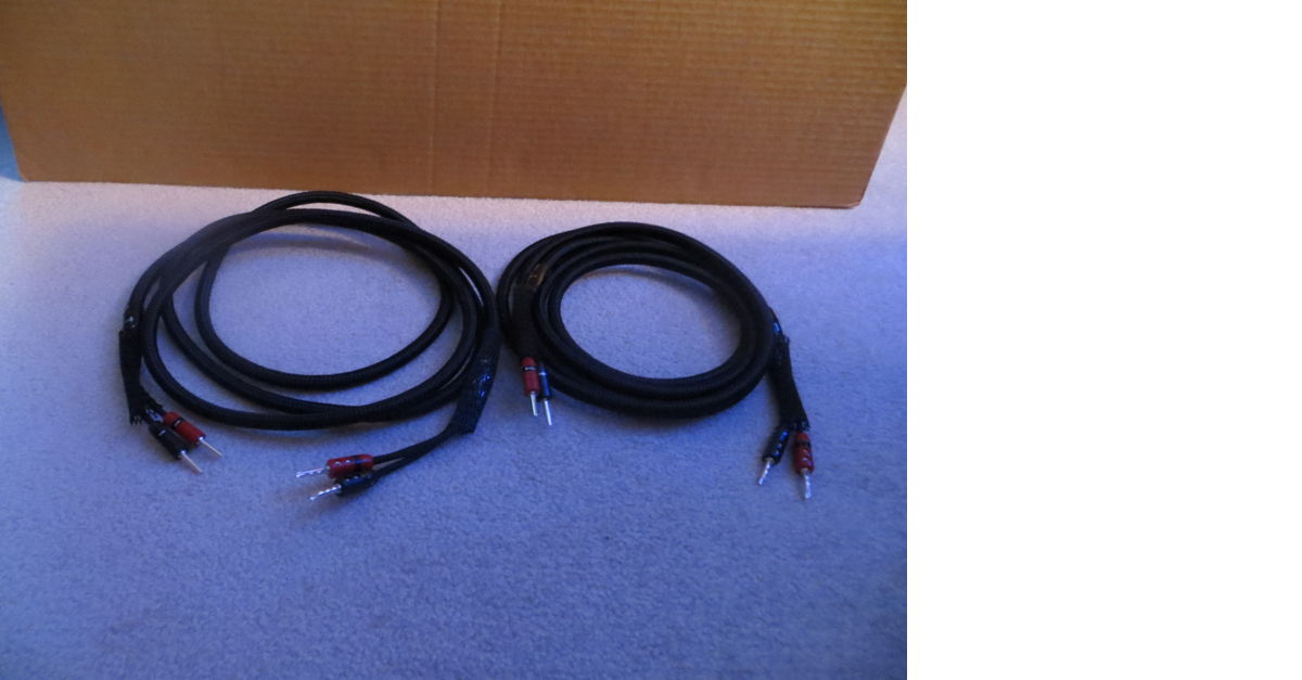 AudioQuest Type 5 speaker cables - 10 ft For Sale | Audiogon