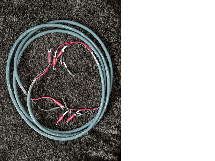 Cardas Parsec speaker cable pair - biwire, 2.5 meter, spade terminals ...