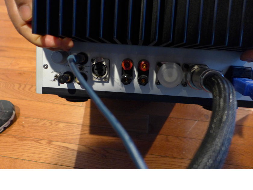 Goldmund Telos 600 mono amps - RARE - Reduced For Sale | Audiogon