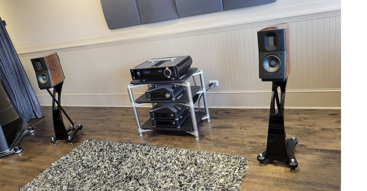 Raidho - D1.1 - Monitors with Original Bla... For Sale | Audiogon