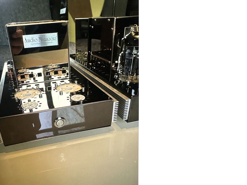 Audio Mirror Reflection 45W Monoblock SET ... For Sale | Audiogon
