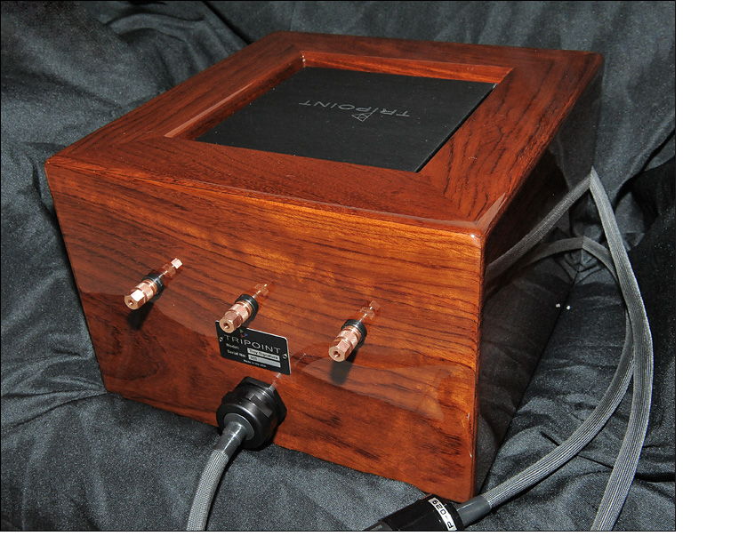 Tripoint Audio Troy Signature Grounding Sy... For Sale | Audiogon