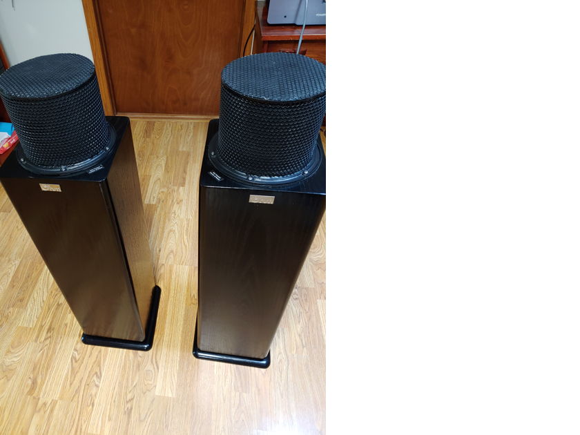 Ohm Acoustics Walsh 2000 For Sale | Audiogon