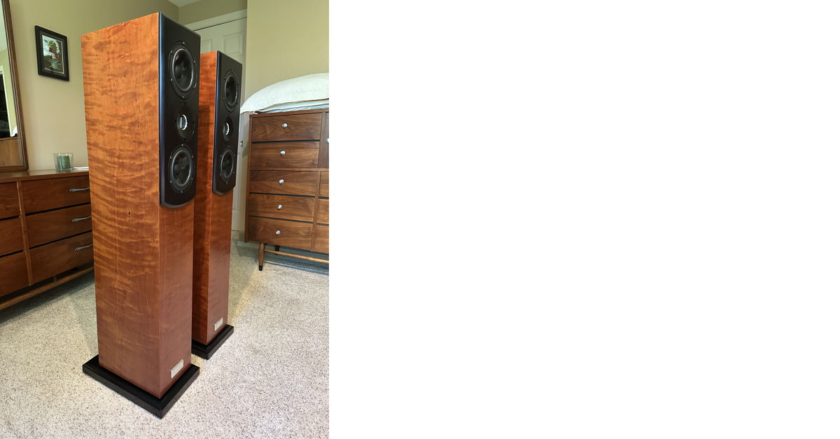 Salk Sound SongTower QWT For Sale | Audiogon