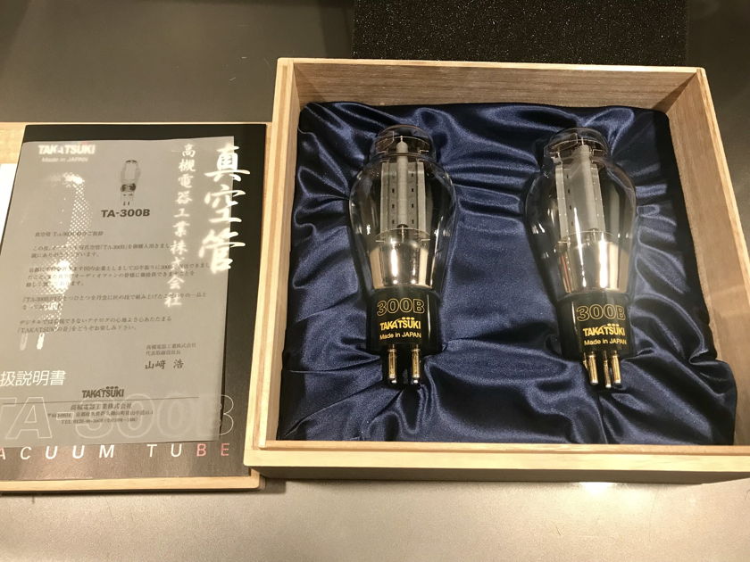 Takatsuki TA-300B For Sale | Audiogon