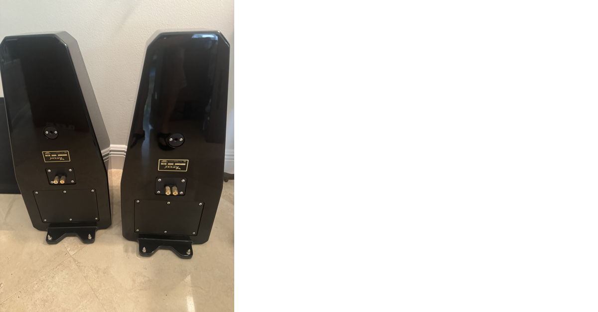 Wilson Audio Watch Surround Series 2 (Pair) For Sale | Audiogon