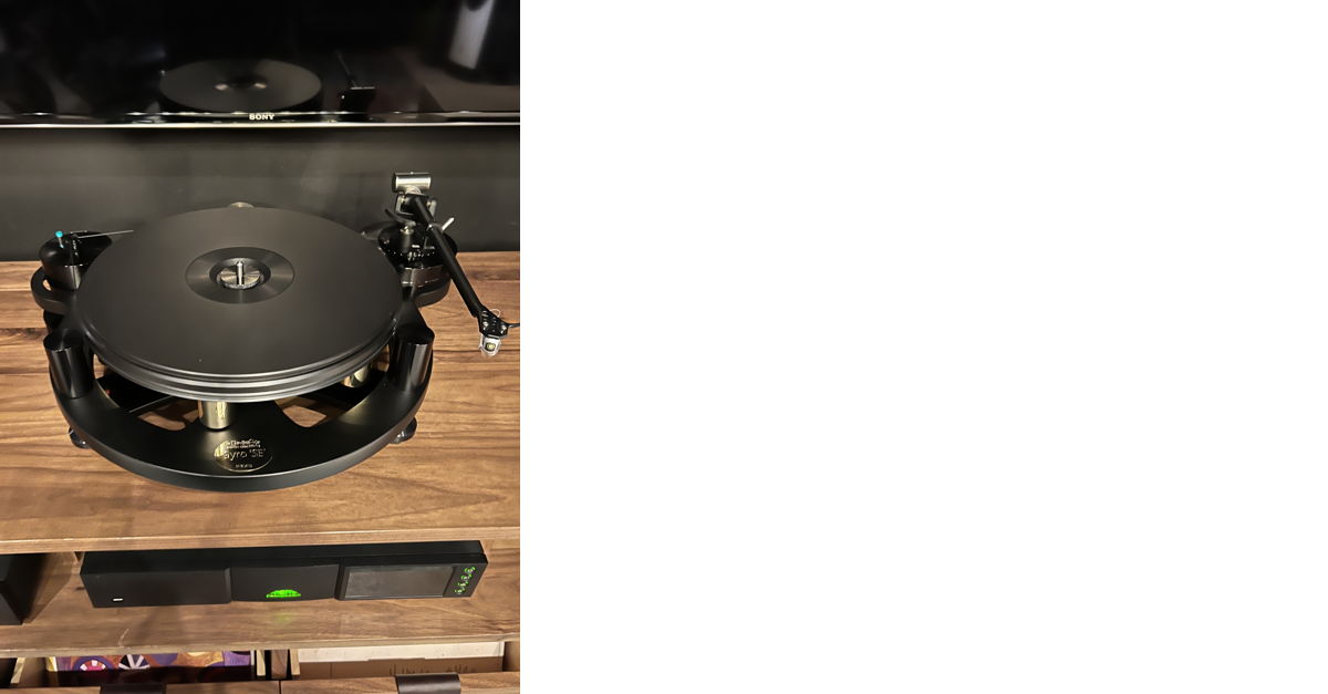 Michell Audio Gyro SE with TechnoArm 2 For Sale | Audiogon