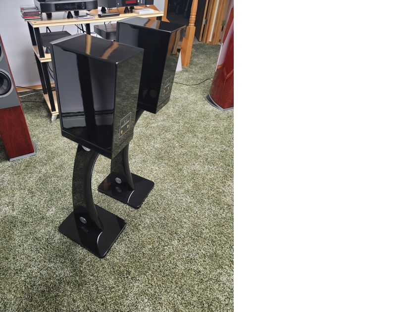 Raidho X1 Black With Stands For Sale | Audiogon