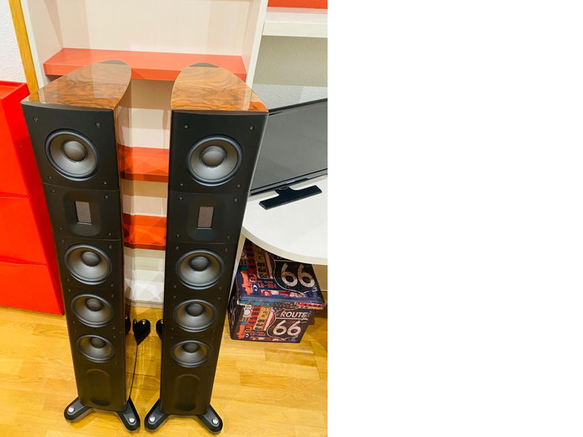Raidho D3.1 For Sale | Audiogon