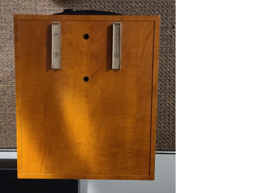 Athena Technologies P-3 Subwoofer #1 For Sale | Audiogon