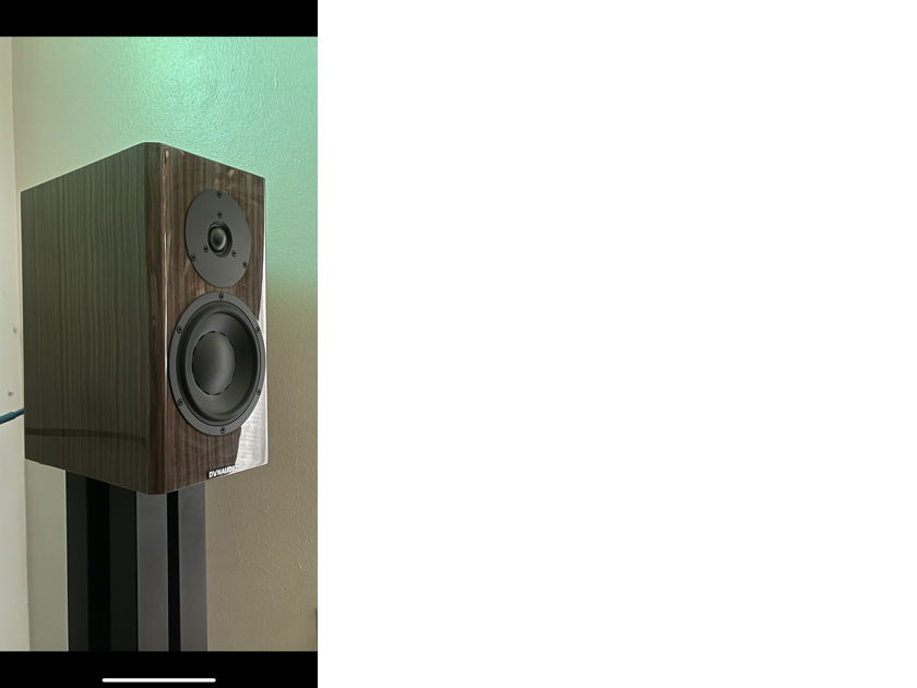 Dynaudio Special 40 For Sale | Audiogon