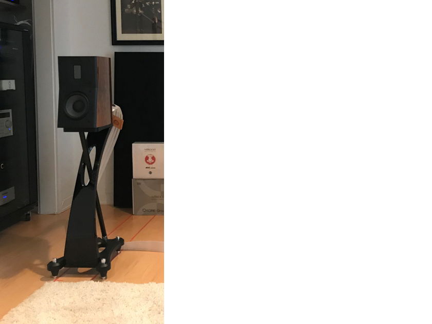 Raidho D1.1 - Rare Burl Walnut Finish For Sale | Audiogon