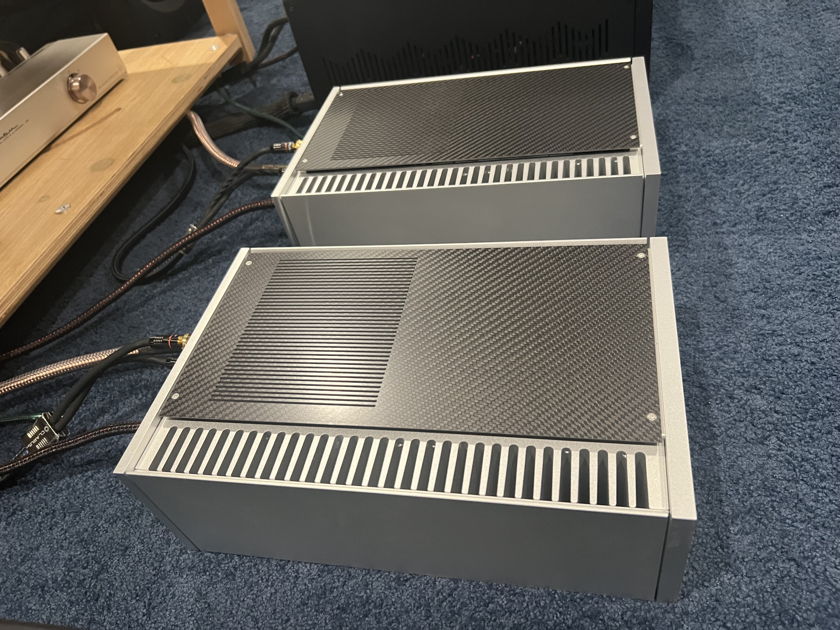 Westminster Lab Rei Mono-Block Power Amps For Sale | Audiogon