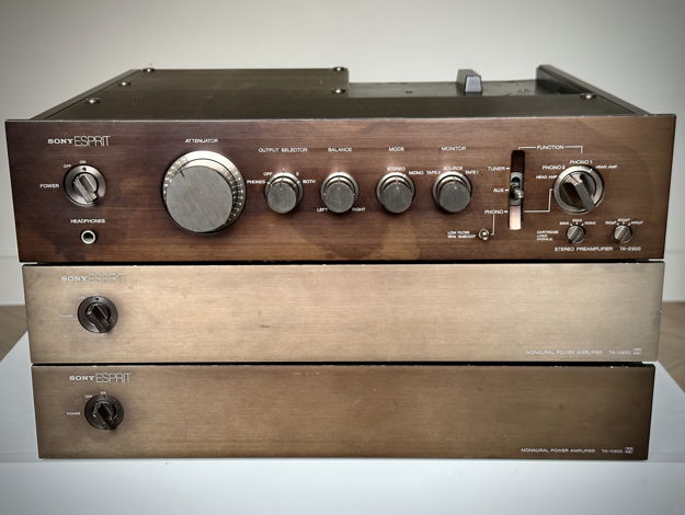 Sony ESPRIT TA-E900 and TA-N900 (2x) For Sale | Audiogon