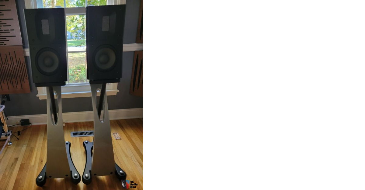 Raidho D1.1 | Walnut Burl | Silver stands ... For Sale | Audiogon