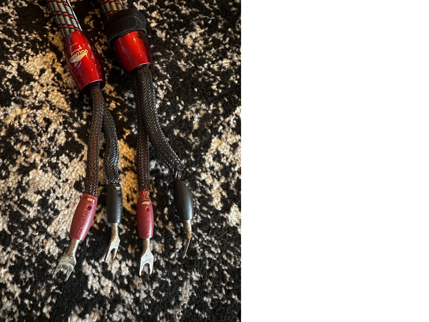 AudioQuest Volcano speaker cable pair 8 ft For Sale | Audiogon
