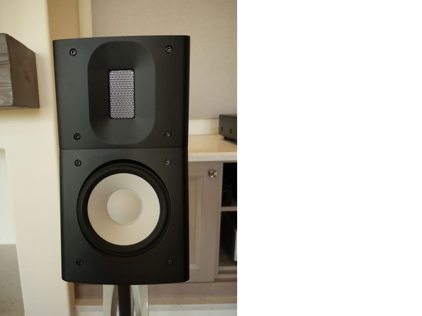 Raidho C1.1 For Sale | Audiogon
